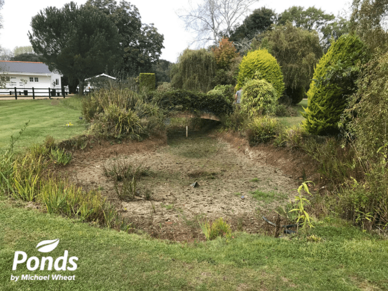 SwimPond Project - Windsor - Ponds By Michael Wheat
