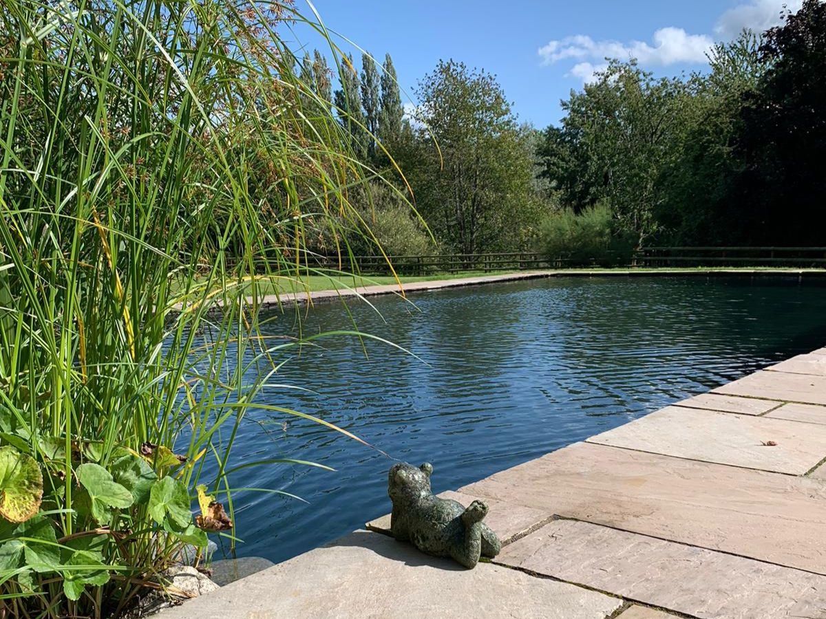 Ponds By Michael Wheat Swimming Pond Open Day Events