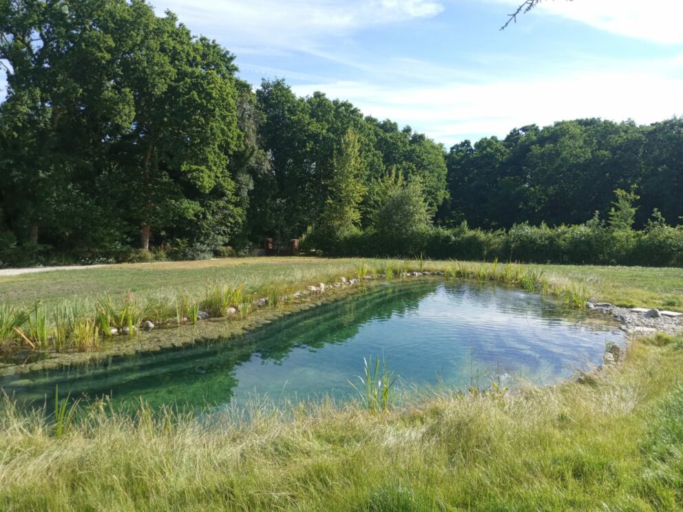 SwimPond Project - Guildford - Ponds by Michael Wheat