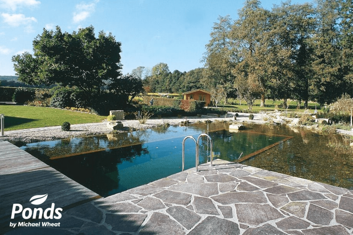 Natural Pond Filtration: Expert Guide - Clear SwimPond Water