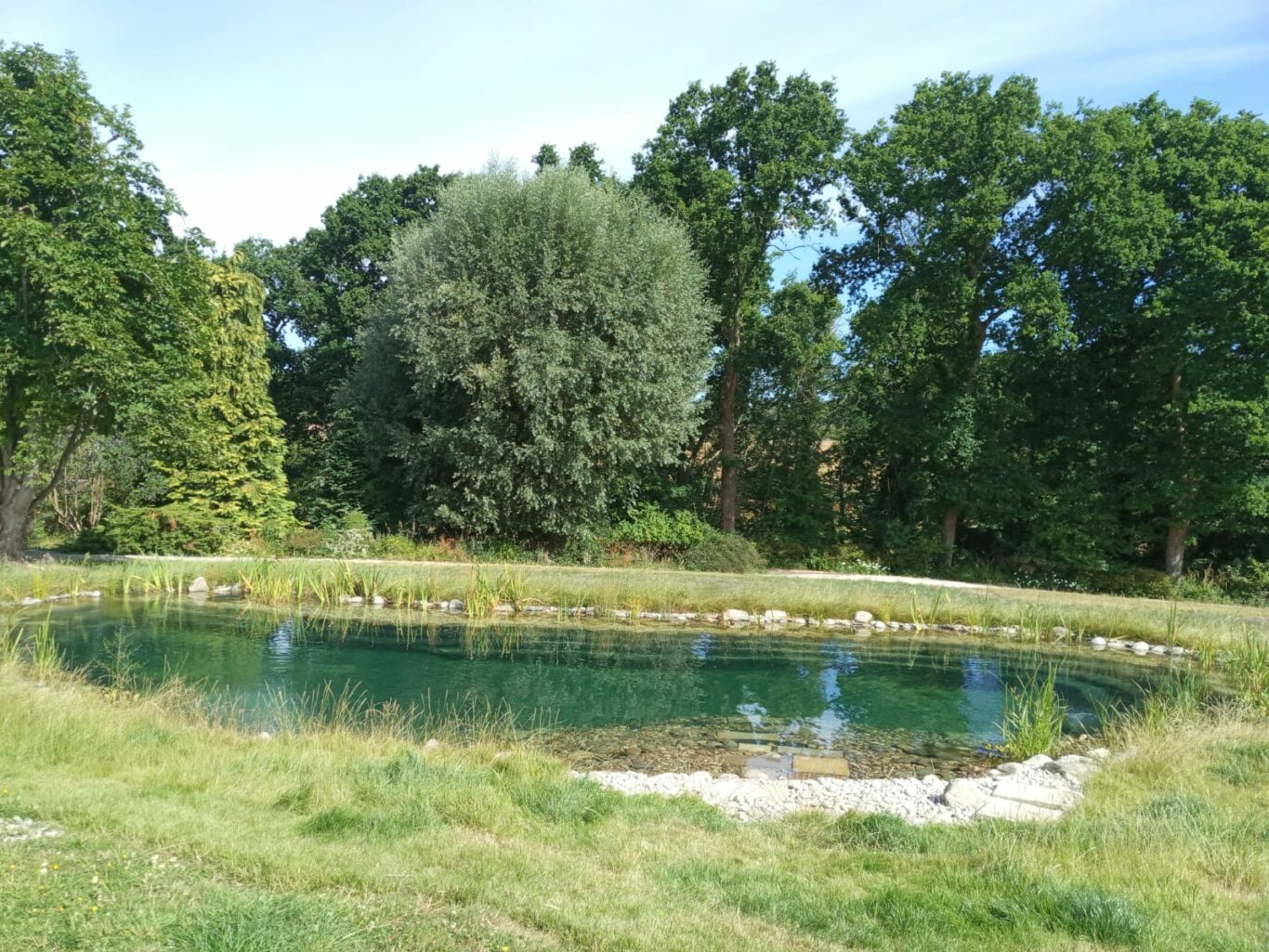 SwimPond Project - Guildford - Ponds by Michael Wheat