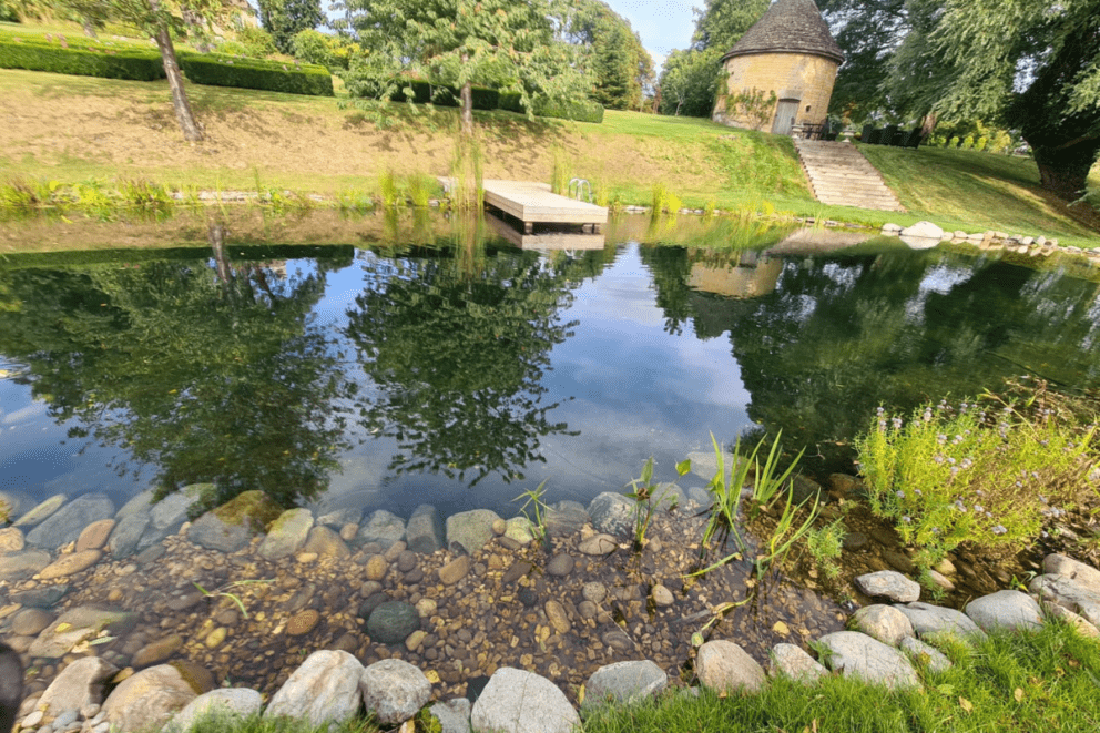 Swimming Pond Vs Open Water Swimming: Top Benefits Compared