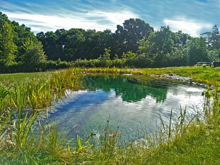 Swimming Ponds By Michael Wheat | Natural Swimming Pools