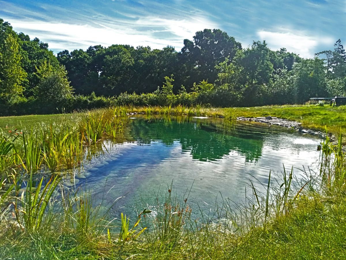 International Swimming Ponds By Michael Wheat | Natural Swimming Pools