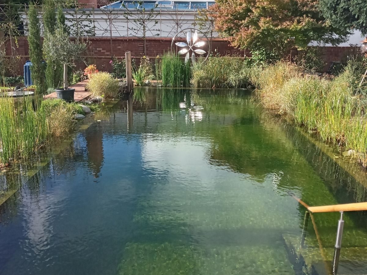 SwimPond Project - Bristol - Ponds By Michael Wheat