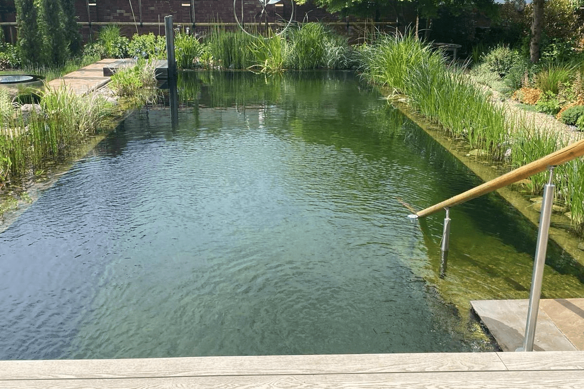 Swimming Ponds Sustainability: How Eco-Friendly Are They?