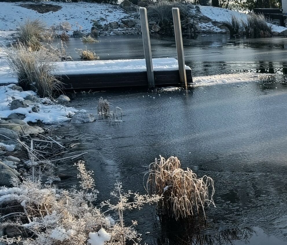 5 Top Reasons why Winter is the best time for a SwimPond. - Ponds by ...