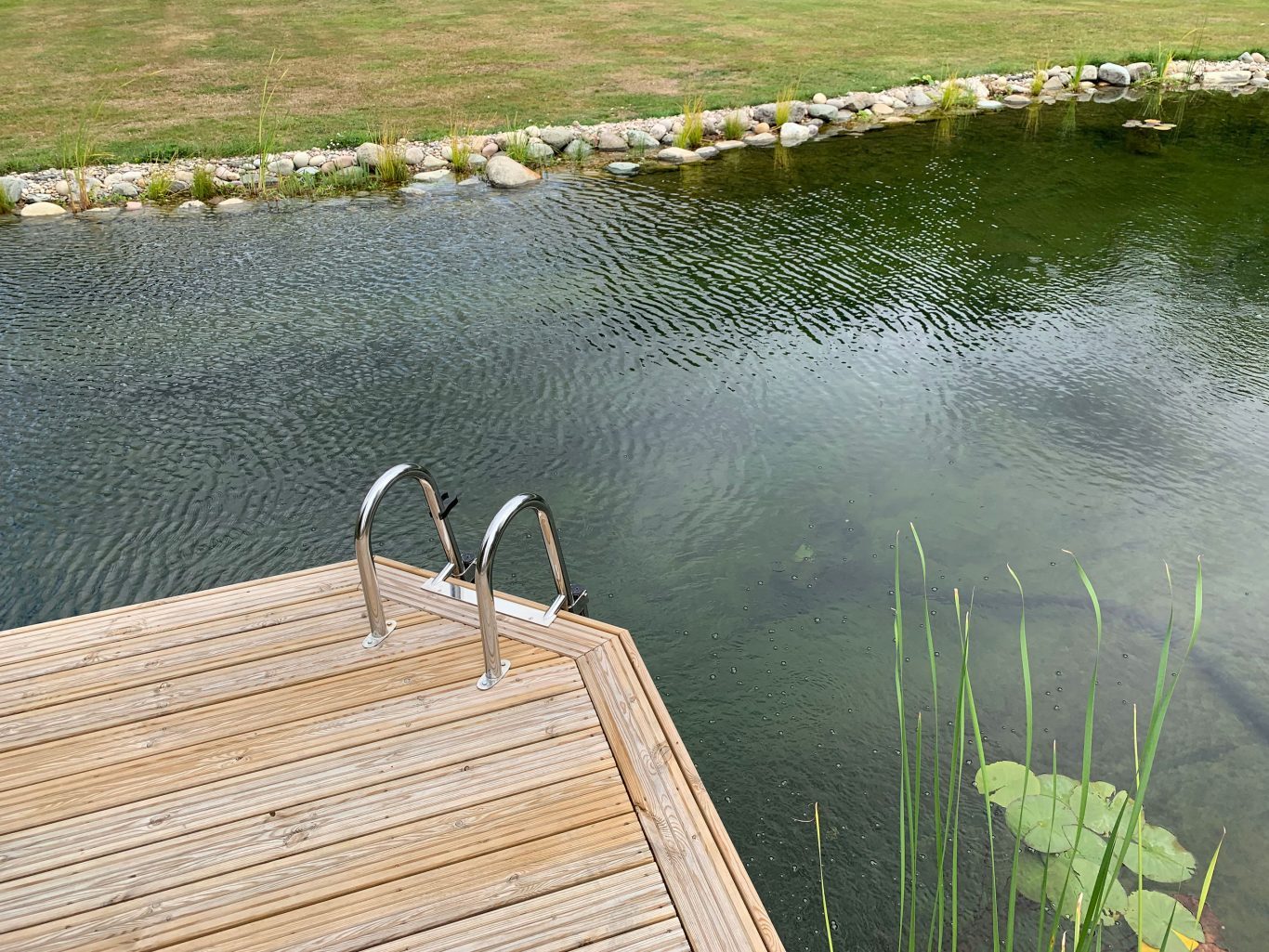 Swim Ponds Vs Swimming Pools