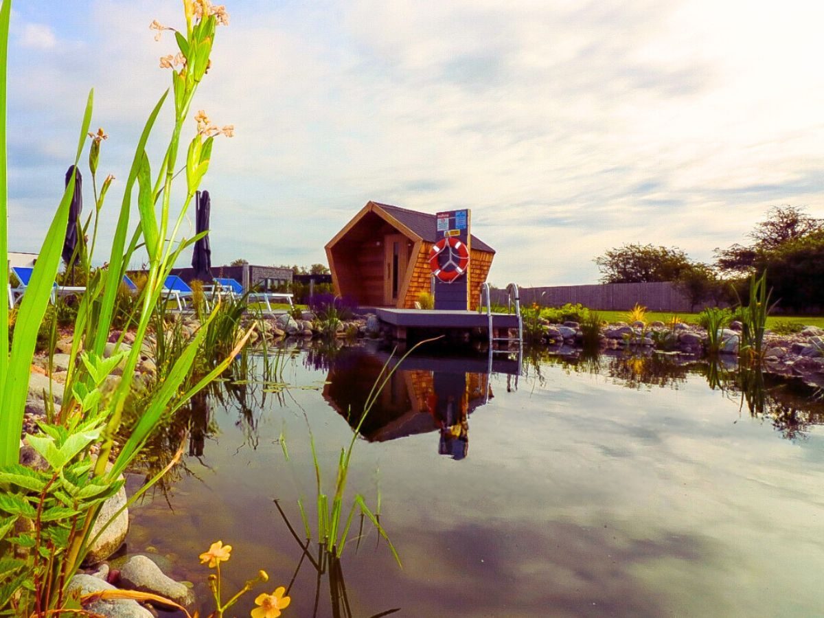 Commercial Swimming Pond Project - Essex - Ponds By Michael Wheat