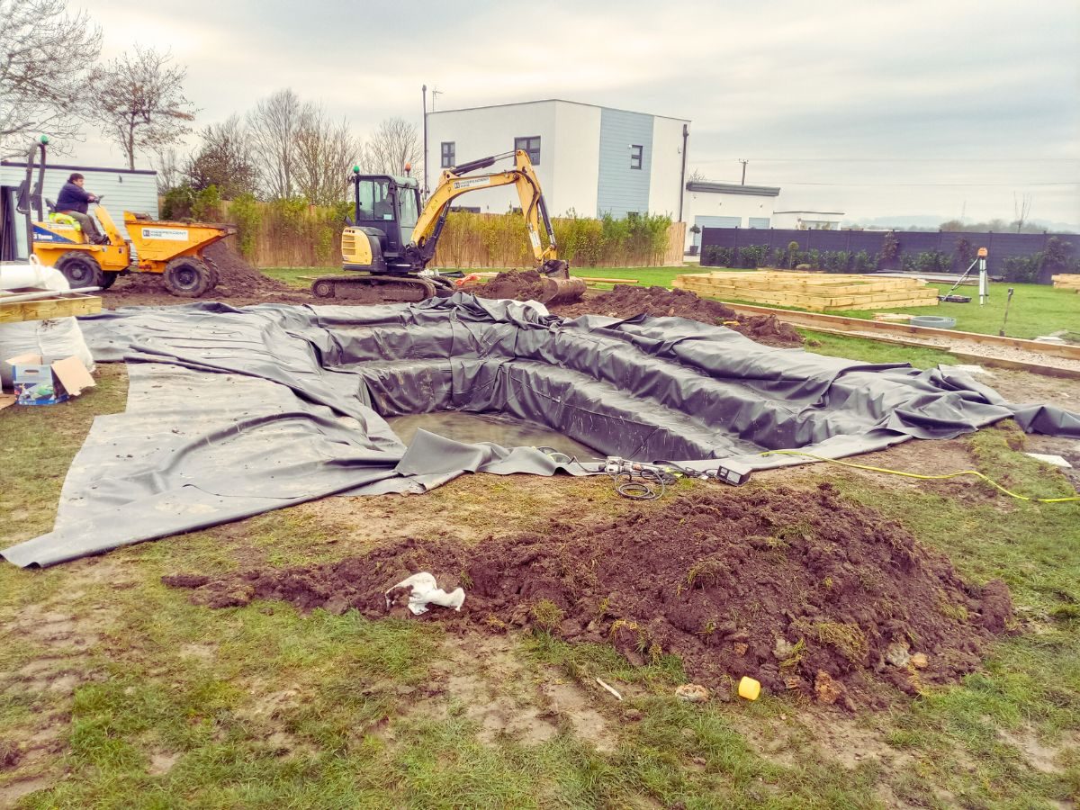 Commercial Swimming Pond Project - Essex - Ponds By Michael Wheat