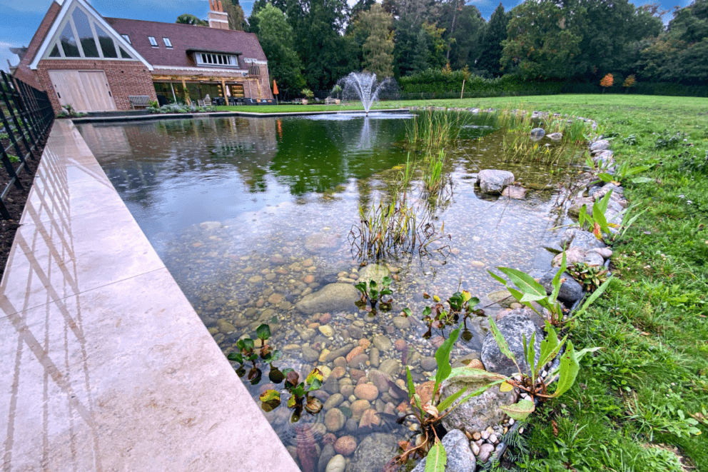 What Should I Put In The Bottom Of My Pond? (Expert Guide)