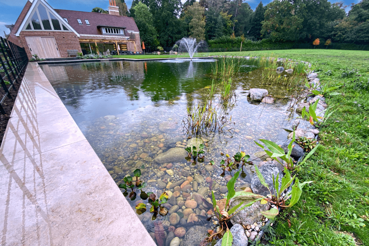 What Should I Put In The Bottom Of My Pond? (Expert Guide)