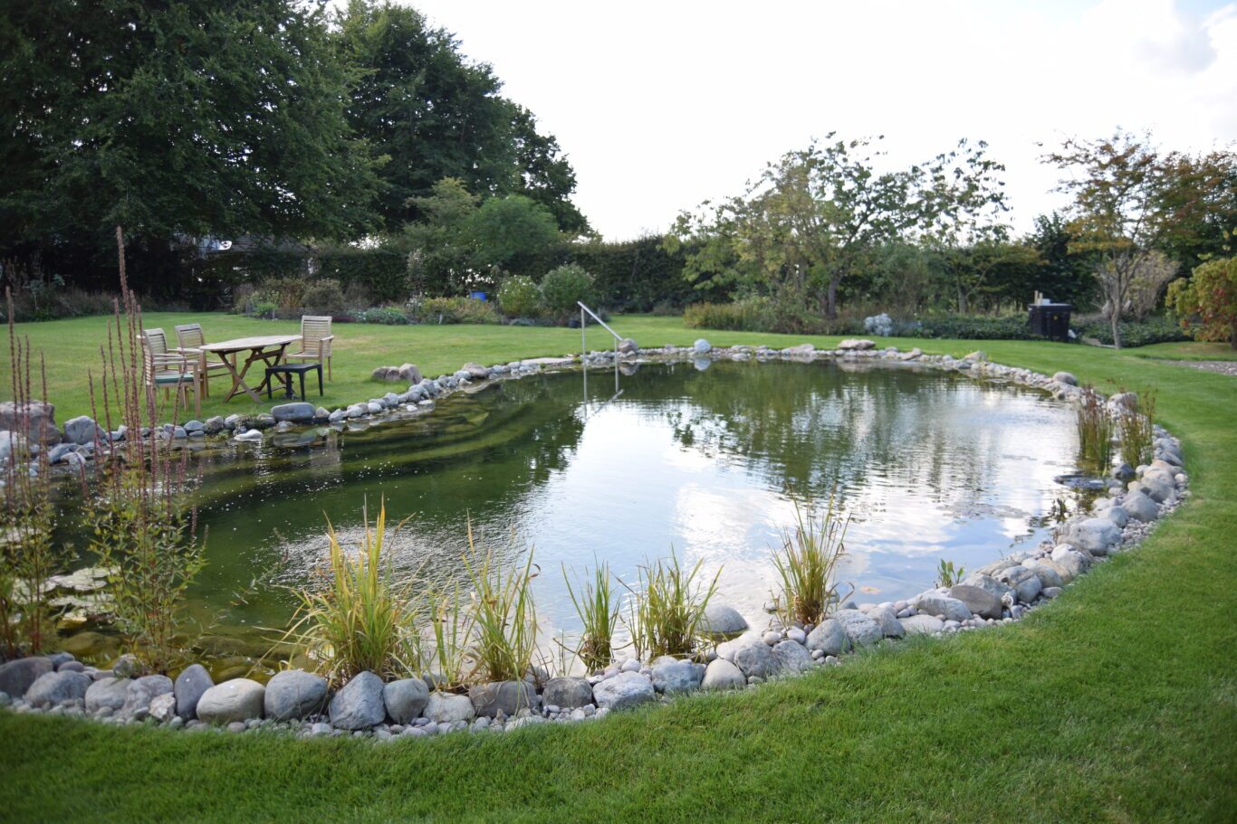 SwimPond Project - Wiltshire - Ponds by Michael Wheat