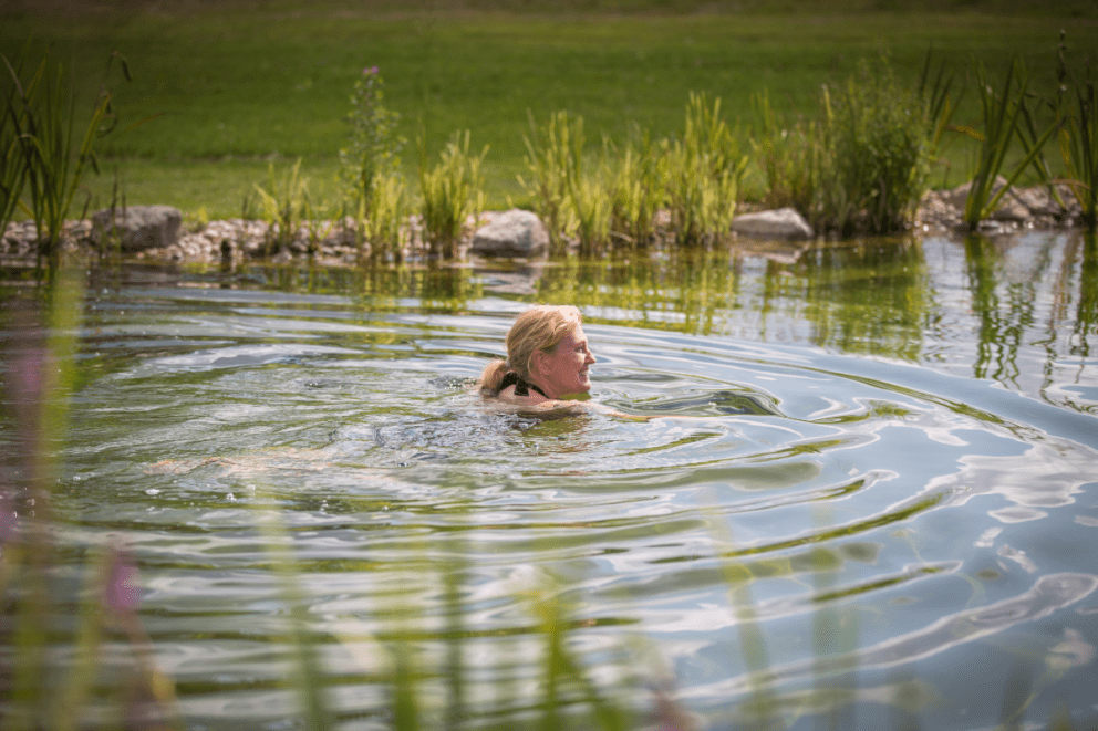 Natural Pond Filtration: Expert Guide - Clear SwimPond Water