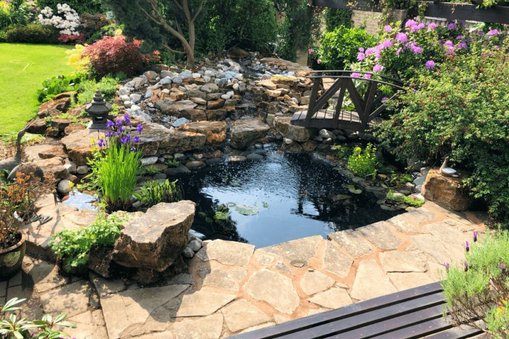 How Deep Should A Wildlife Pond Be? Essential Tips Revealed