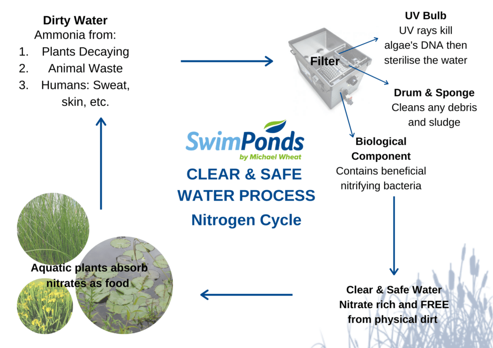 Natural Pond Filtration: Expert Guide - Clear SwimPond Water