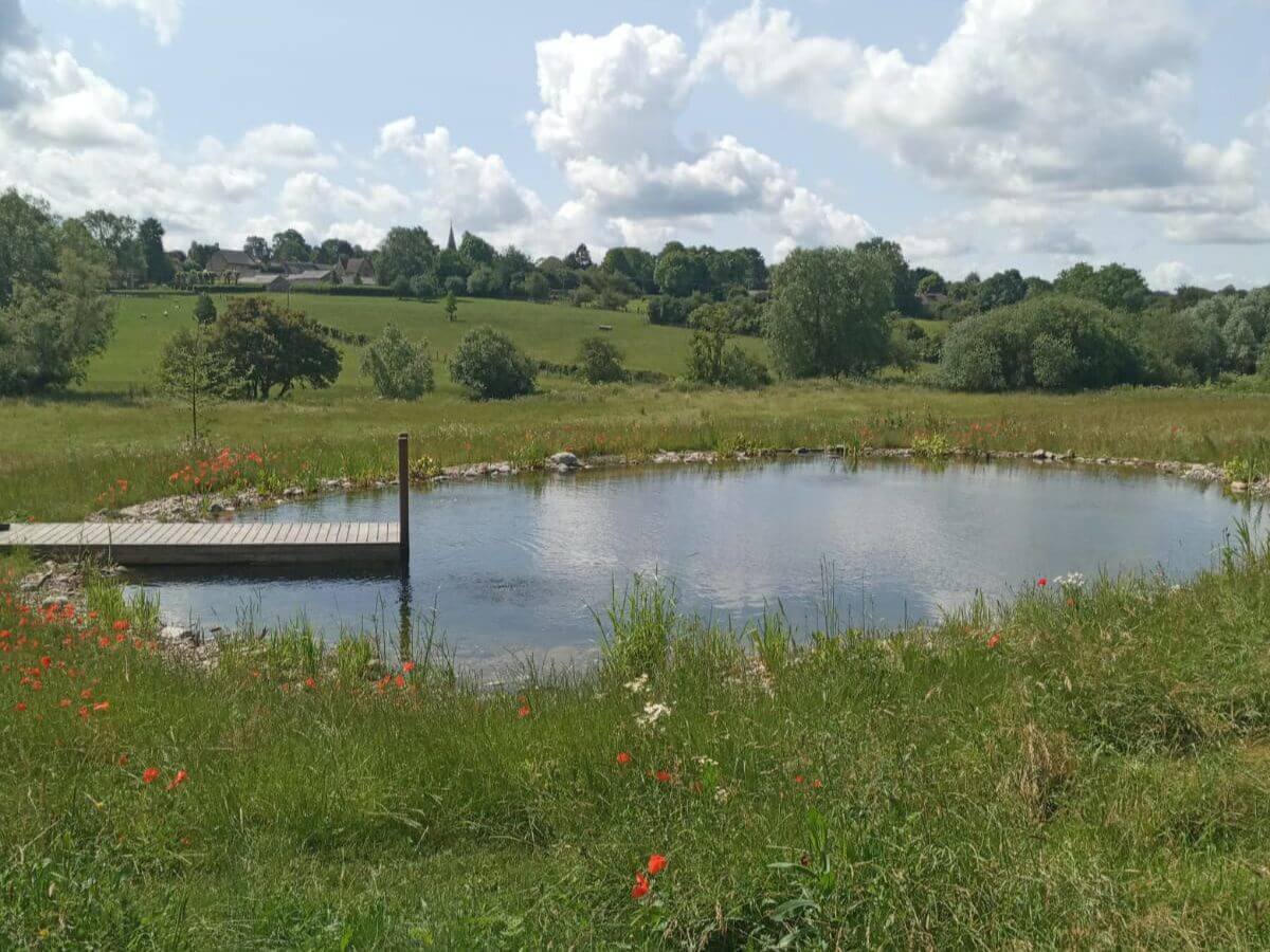 SwimPond Project - Northamptonshire - Ponds By Michael Wheat
