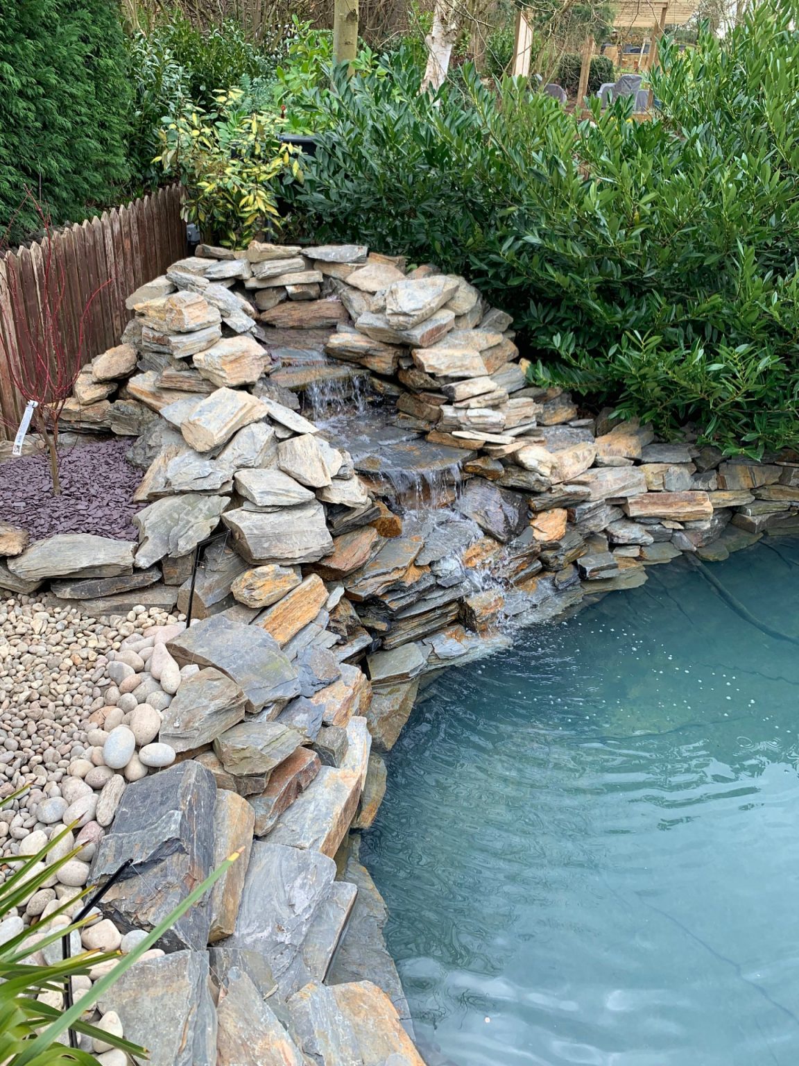 Fish Pond With Blue Water - Ponds By Michael Wheat