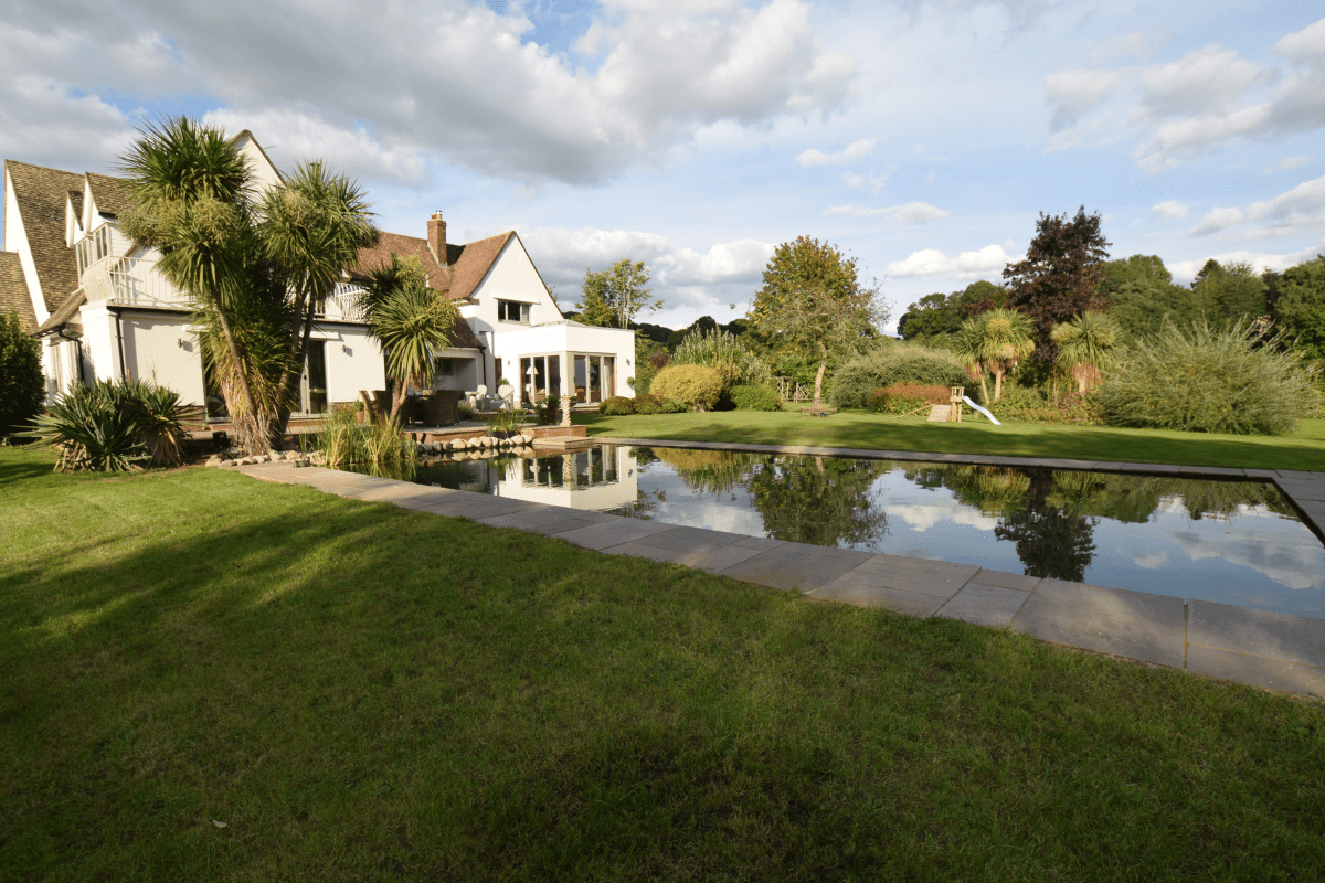 Types Of Swimming Ponds: Ultimate Guide And Expert Care Tips