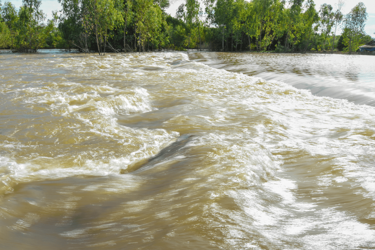 Swimming Pond Vs Open Water Swimming: Top Benefits Compared