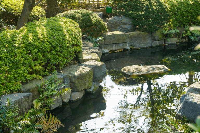 Pond Rocks: How To Use Stones Effectively In Pond Design