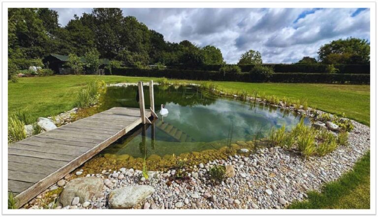 Pond Planning Permission: Key Tips To Garden Project Success