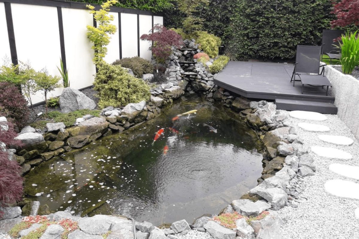 Pond Landscaping Ideas: 12 Tips To Transform Your Garden