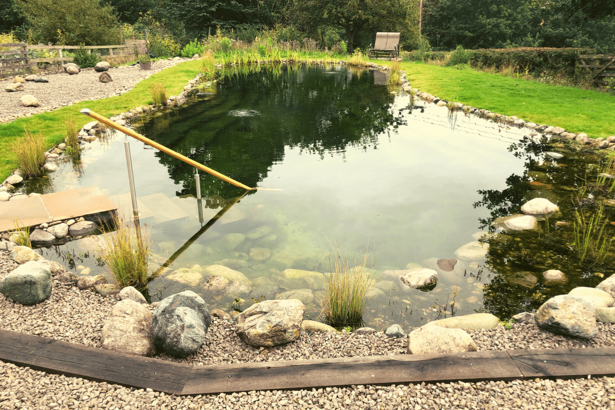 Pool To Pond Conversion Guide: Transforming Your Backyard