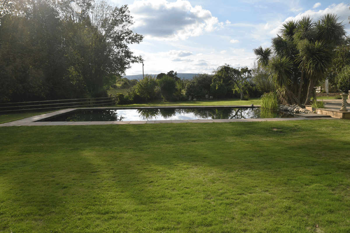 Modern Pond Design Vs Traditional Pond Design (Compared)