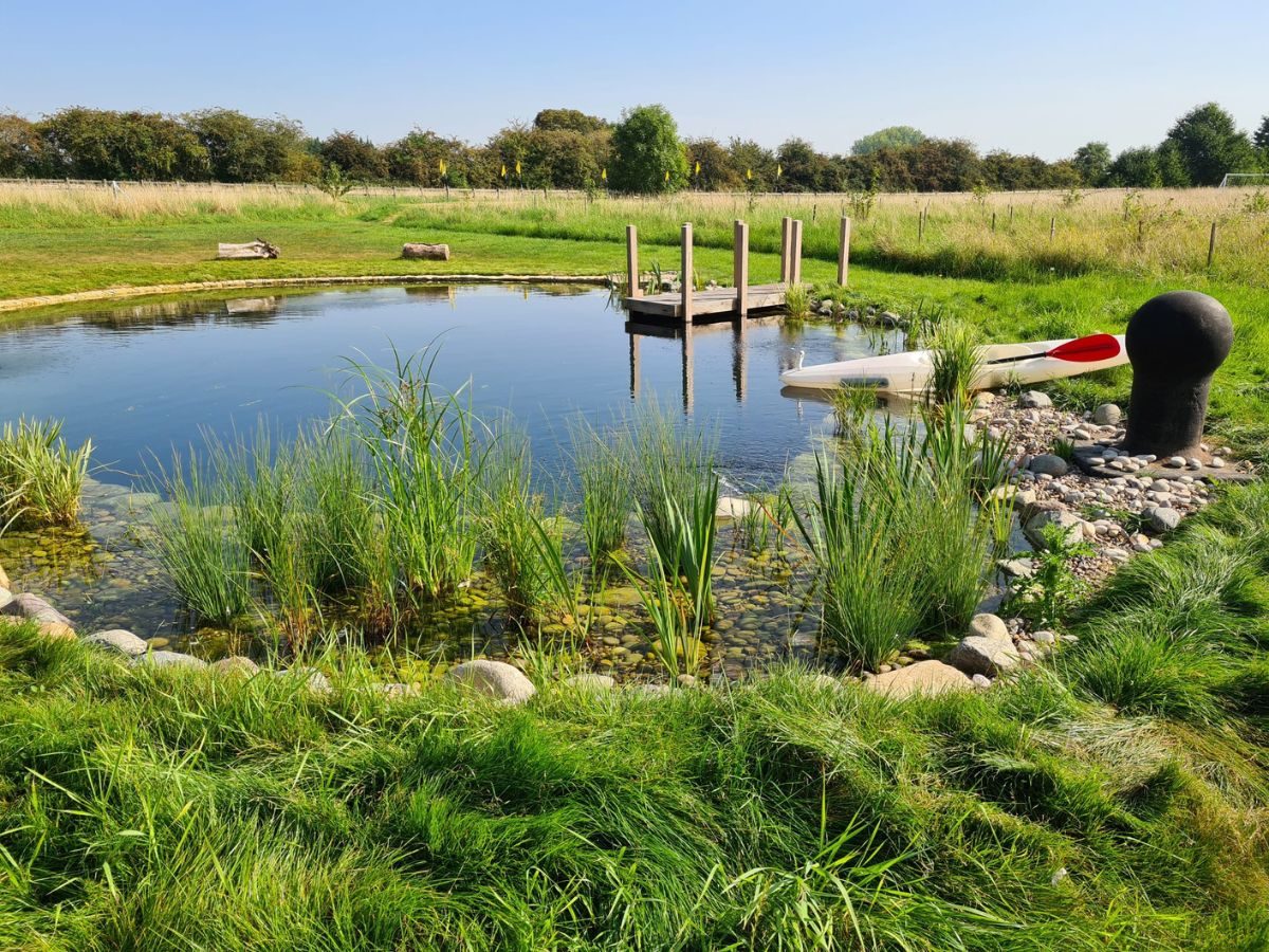SwimPond Project - Nottinghamshire - Ponds By Michael Wheat