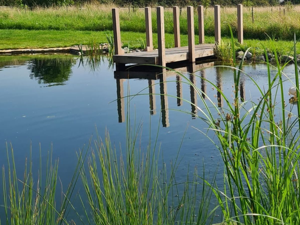 SwimPond Project - Nottinghamshire - Ponds By Michael Wheat