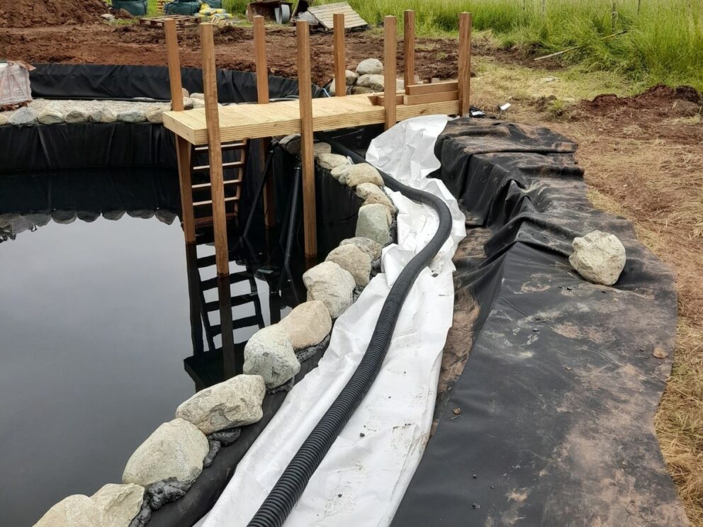 SwimPond Project - Nottinghamshire - Ponds By Michael Wheat