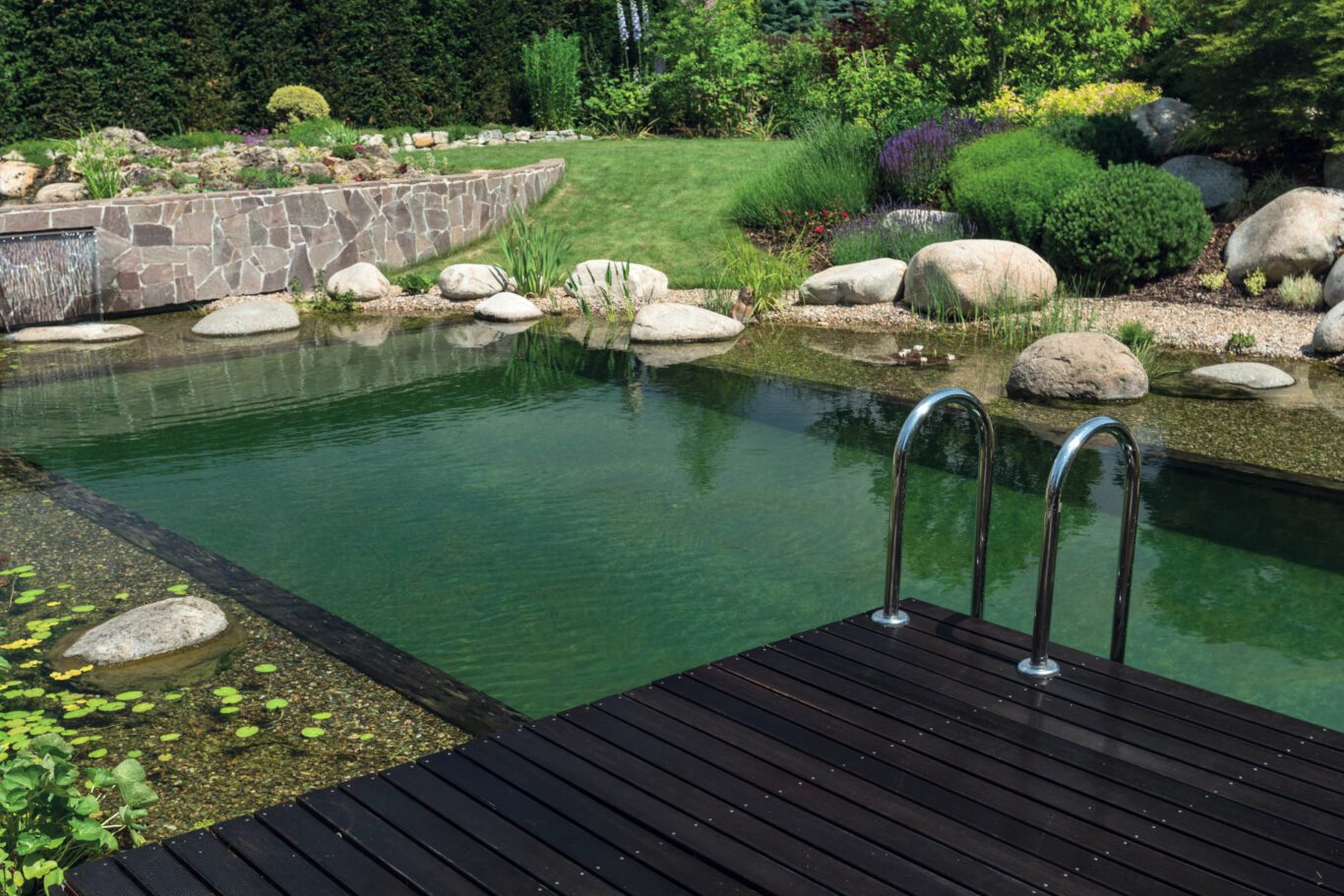 The Vital Role Of Plants In Swimming Ponds