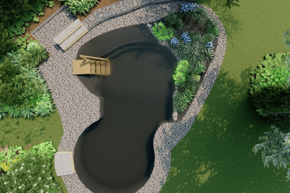 Pool To Pond Conversion Guide: Transforming Your Backyard