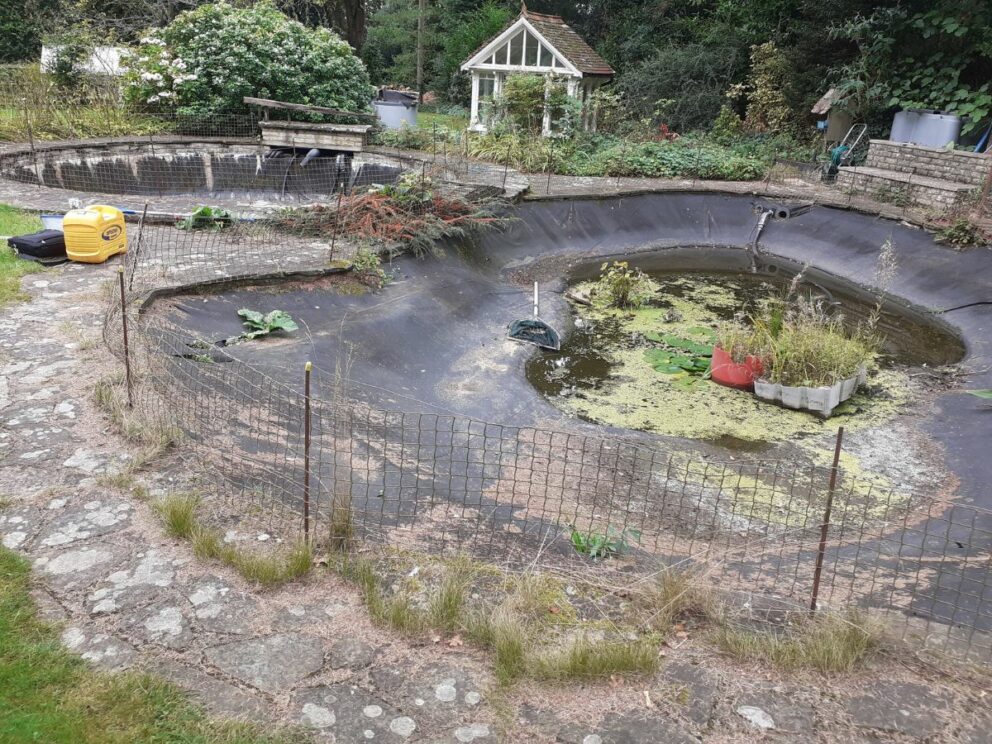Pond To SwimPond Project - Guildford - Ponds By Michael Wheat