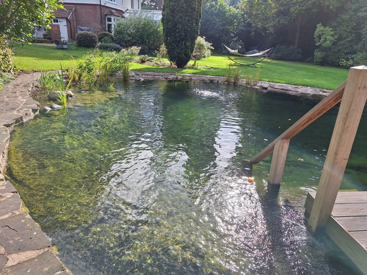 Pond To SwimPond Project - Guildford - Ponds By Michael Wheat