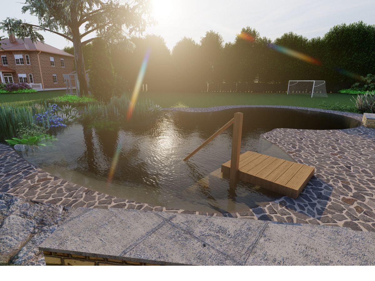 Pond To SwimPond Project - Guildford - Ponds By Michael Wheat