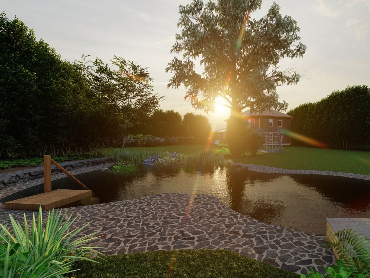 Pond To SwimPond Project - Guildford - Ponds By Michael Wheat