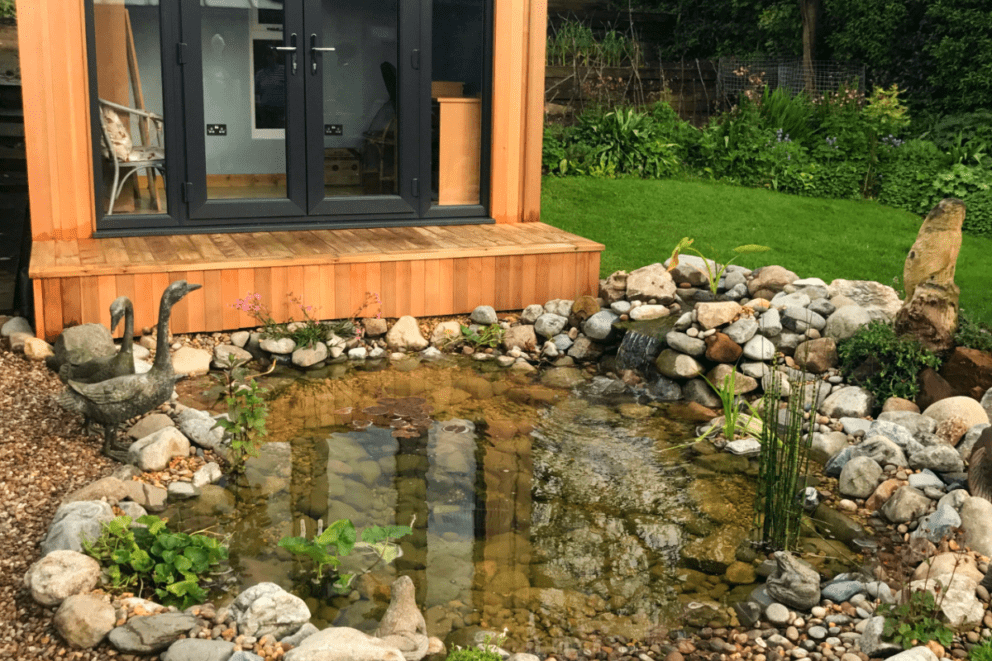 Wildlife Pond Ideas: 8 Tips To Attract Nature To Your Garden