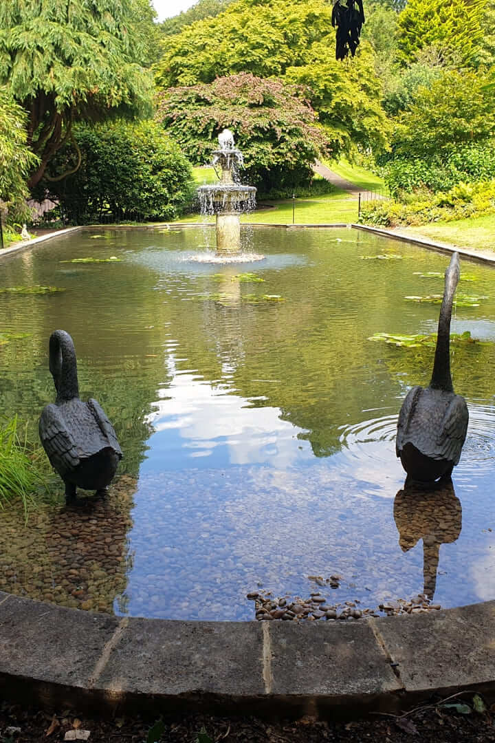 How To Build A Raised Pond In 4 Steps: Expert Guide & Tips