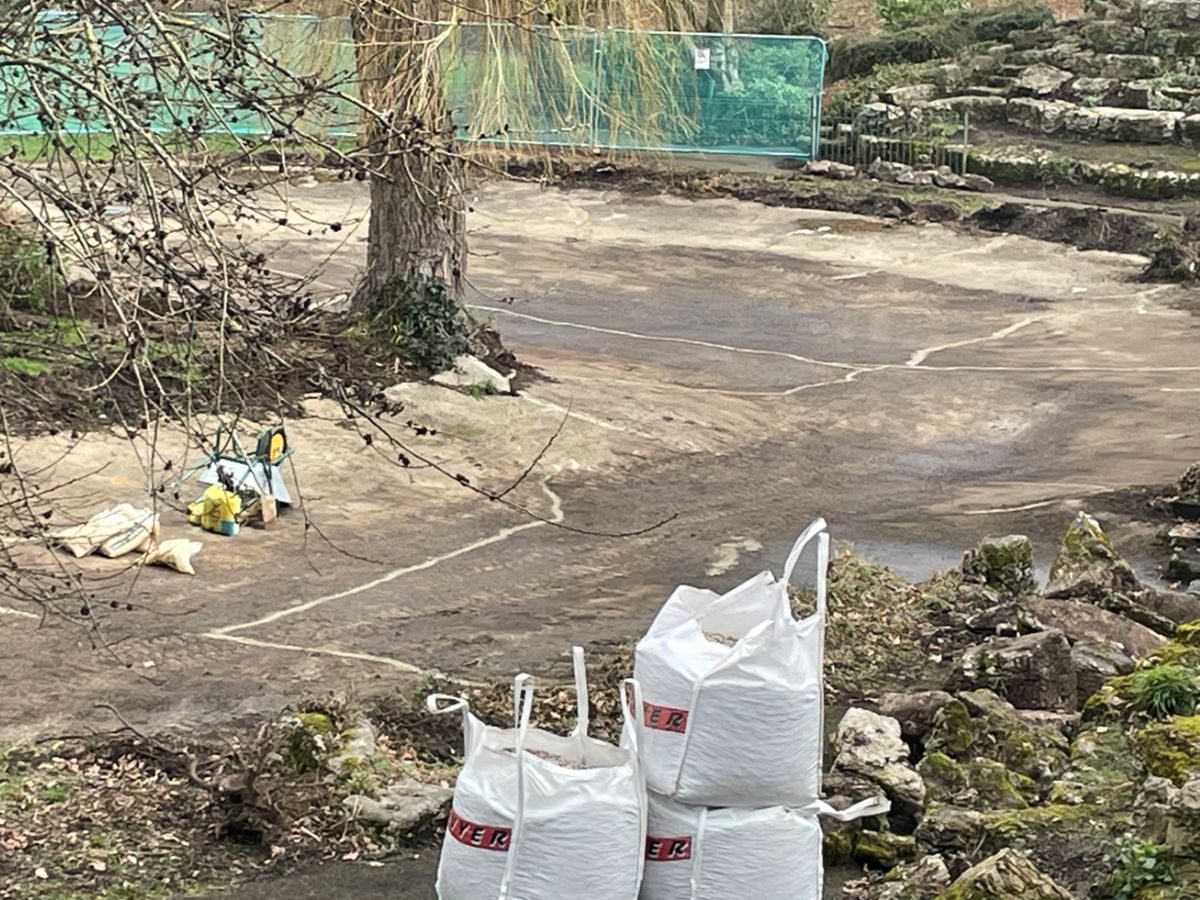 Commercial Wildlife Pond Project - London - Ponds By Michael Wheat