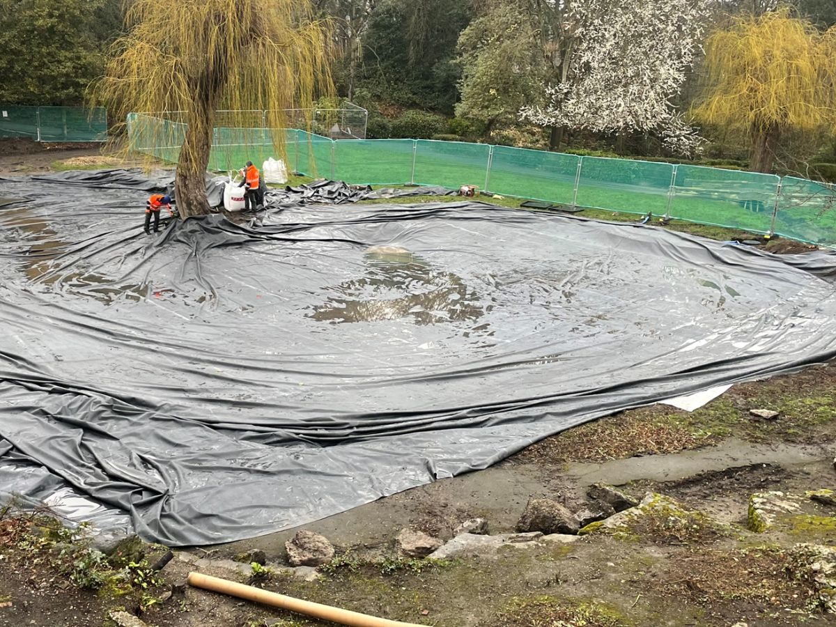 Commercial Wildlife Pond Project - London - Ponds By Michael Wheat