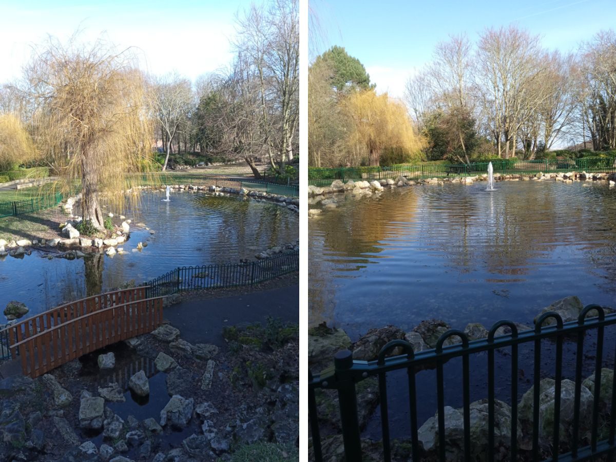 Commercial Wildlife Pond Project - London - Ponds By Michael Wheat