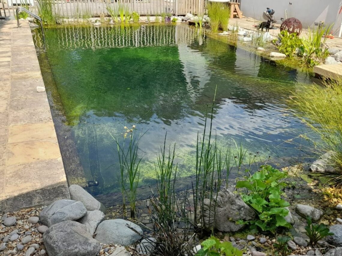 Swimming Pond Design: Create Your Eco-Friendly Pond