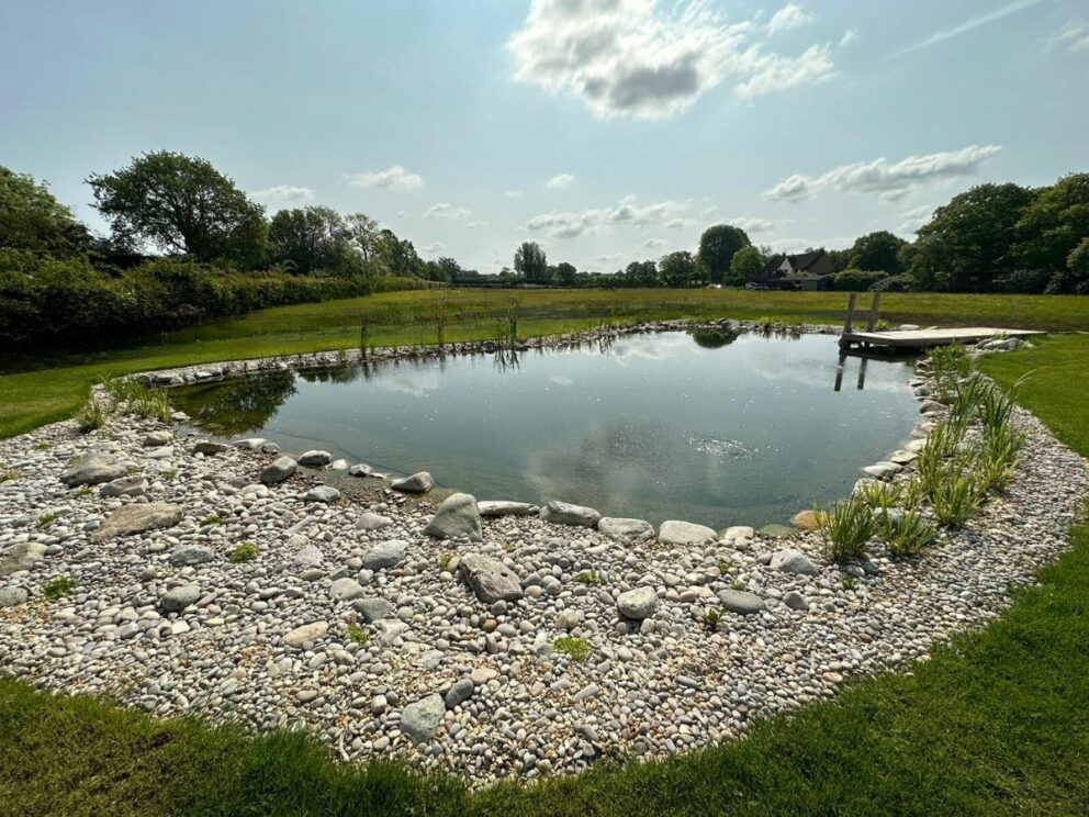 SwimPond Project - West Sussex - Ponds By Michael Wheat