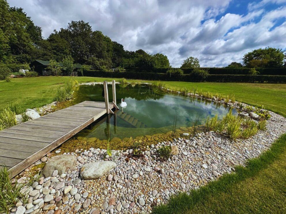 SwimPond Project - West Sussex - Ponds By Michael Wheat