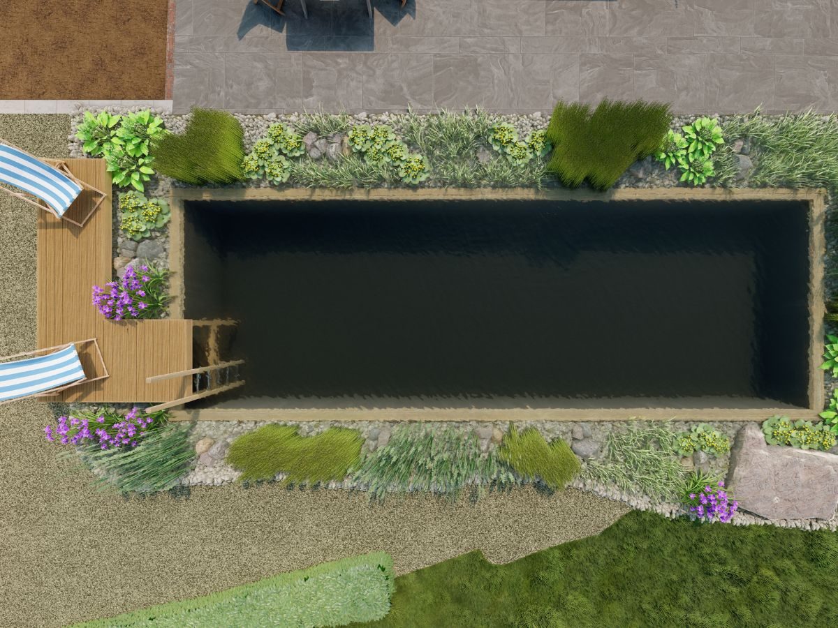 SwimPond Project - Kent - Ponds By Michael Wheat