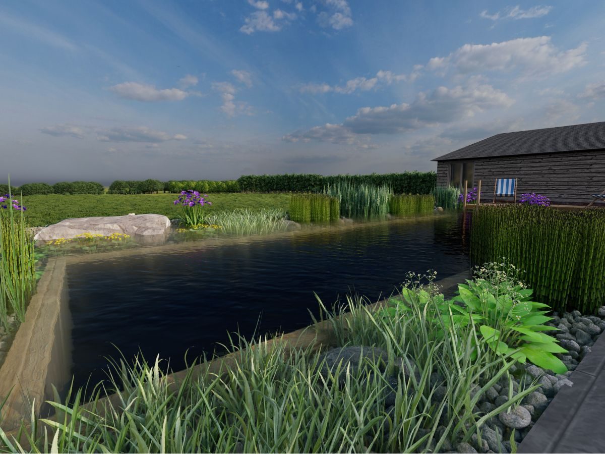 SwimPond Project - Kent - Ponds By Michael Wheat
