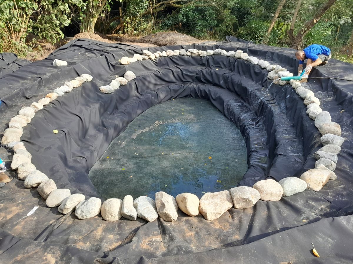 SwimPond Project - Suffolk - Ponds By Michael Wheat