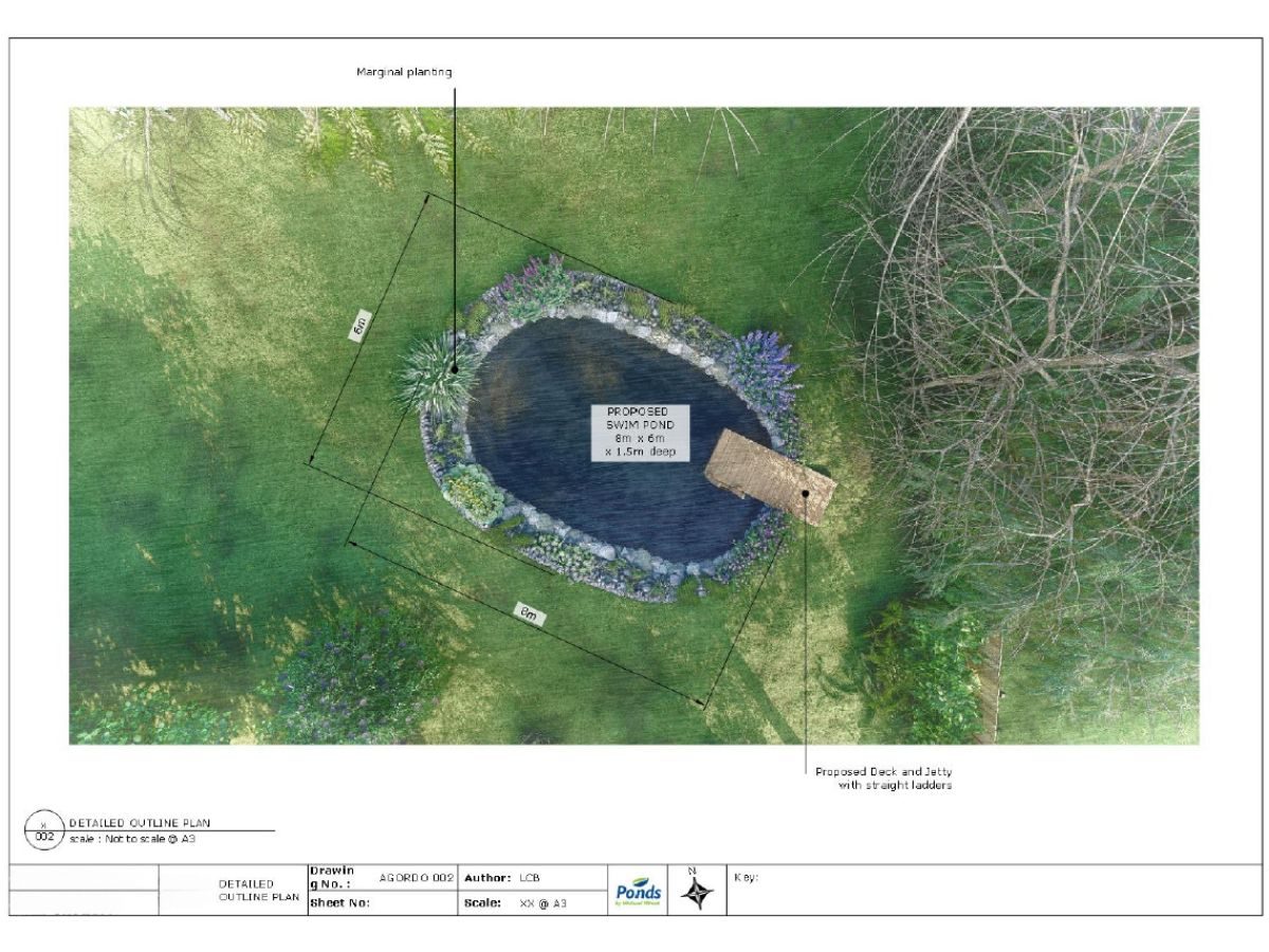 SwimPond Project - Suffolk - Ponds By Michael Wheat